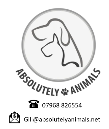 Absolutely Animals - suppliers of quality dog & pet products